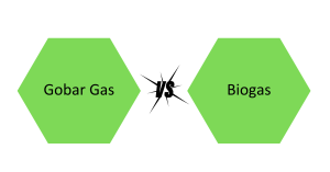 What Is Gobar Gas? All You Need To Know | Uses, Benefits & Process